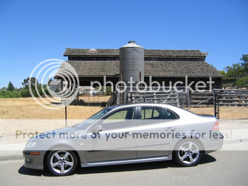 Body Molding | SaabCentral Forums